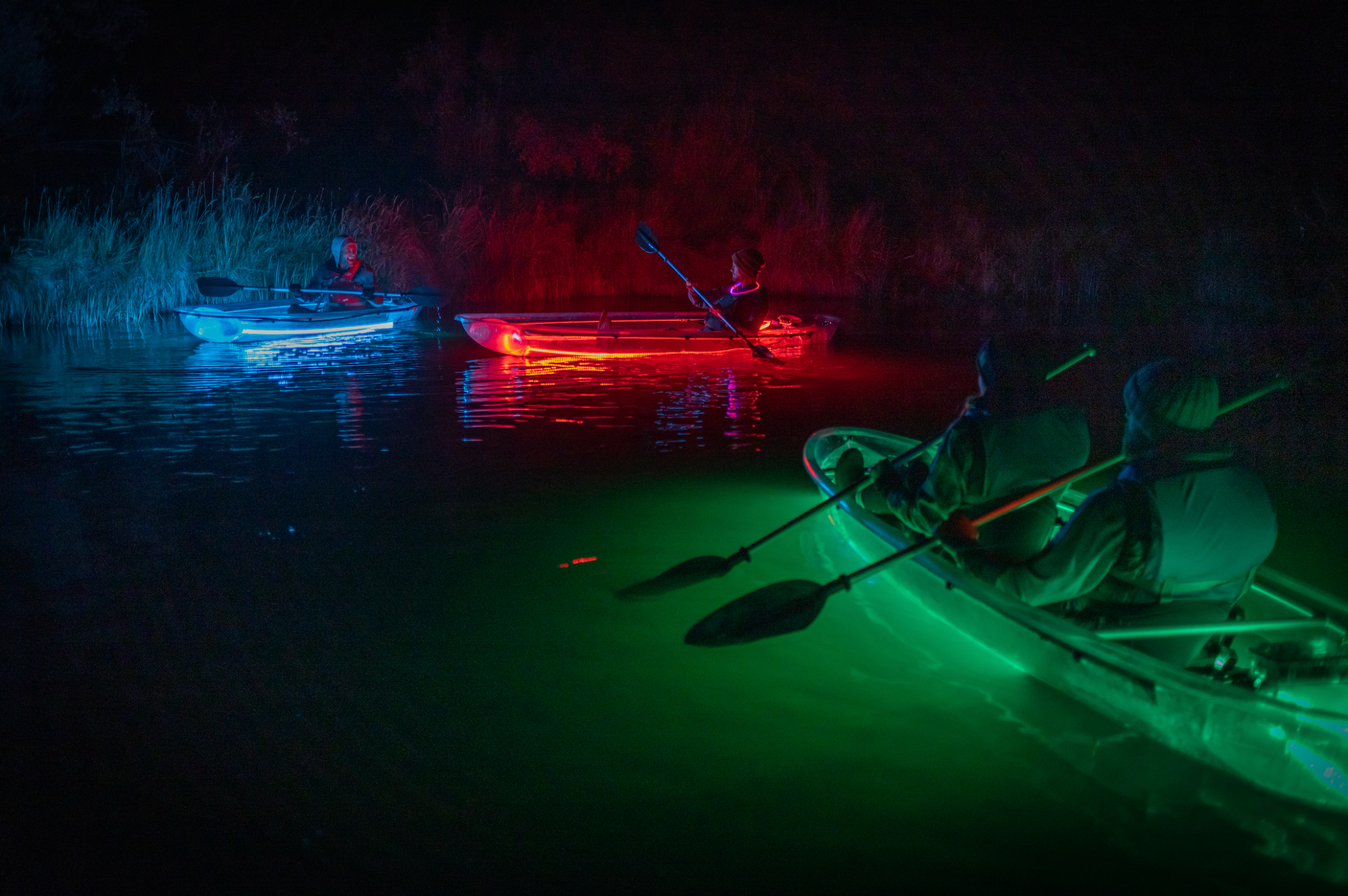 Night Kayak Tour Guide